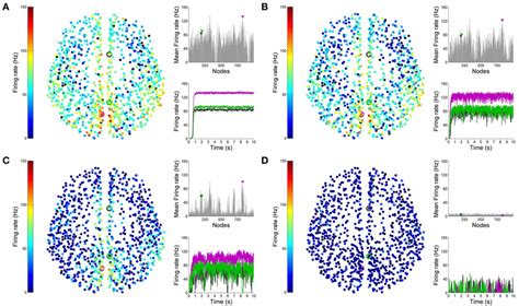 Analysis Of Lesioned Diffuse Brain Activity Vs Noise 2D Plots For