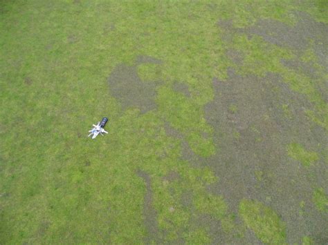 Ridgeway Country Club Turfgrass Management Bentgrass Vs Poa Revisited