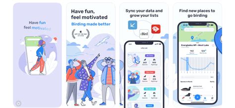 9 Of The Best Birdwatching Apps In Australia Birda