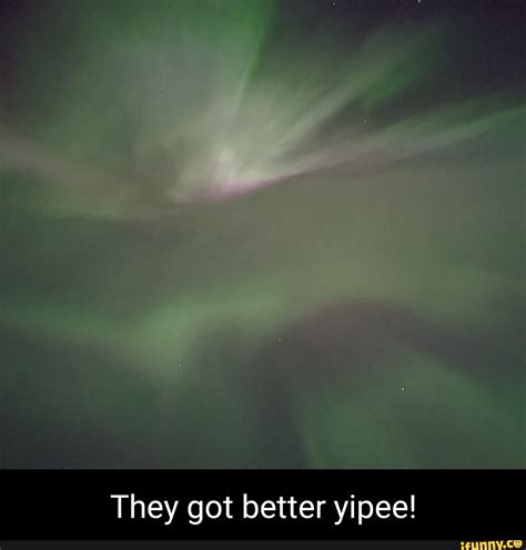 Yipee Memes Best Collection Of Funny Yipee Pictures On Ifunny