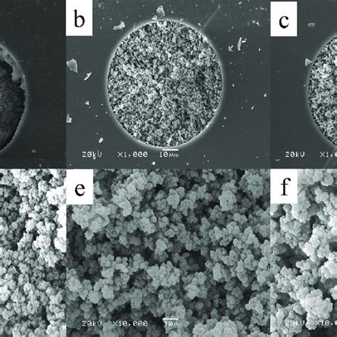 Sem Micrographs Of Polymeric Monolithic Columns With A D Column A