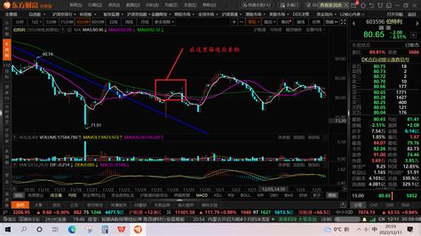 伯特利交易记录 哔哩哔哩