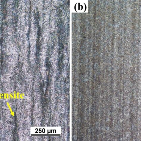 Sem Diagram Of Acs And Wqs A Acs B Morphology Of Coarse Crystalline