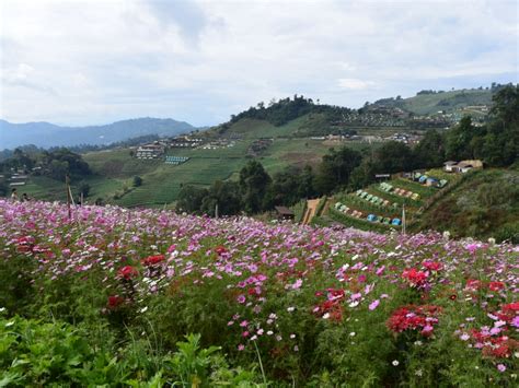 モンジェム Mon Chaem ｜ チェンマイ観光