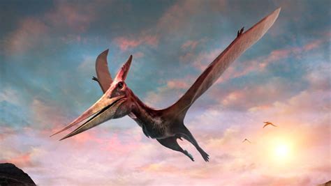Jurassic Park Pteranodon Flying