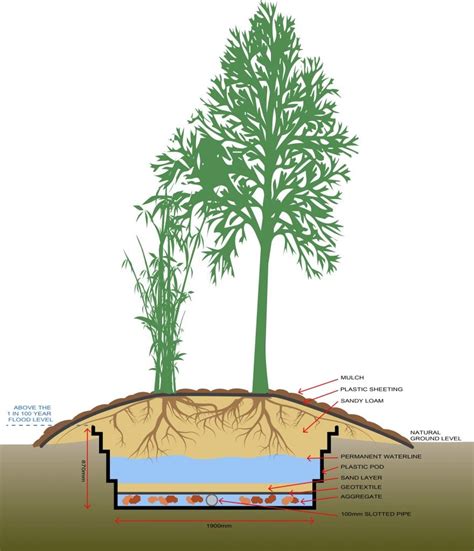 Arris Water Treatment And Technology Rhizopod® System Technology