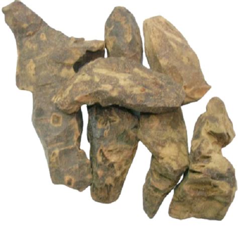 Lokhandi Chobchini Smilax Glabra Ayurvedic Herb At Best Price In Delhi