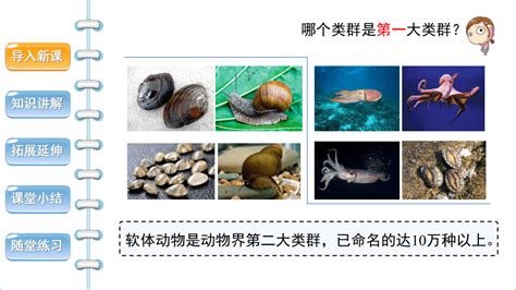 Ppt
