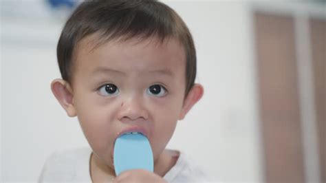 Boy Sucking Boy Videos And Hd Footage Getty Images