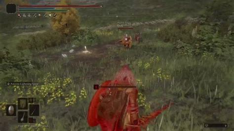 Npc Kinda Carried Reldenringpvp