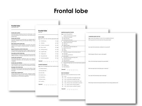 Frontal Lobe Made By Teachers