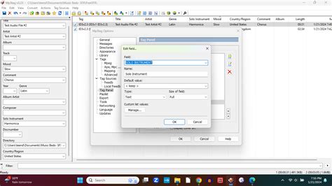 Panel Tag Text Not Displaying In Windows 11 File Properties Support
