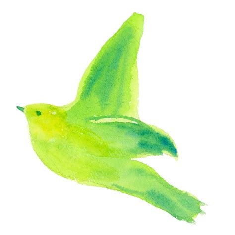 石澤直子 Cd・youtube