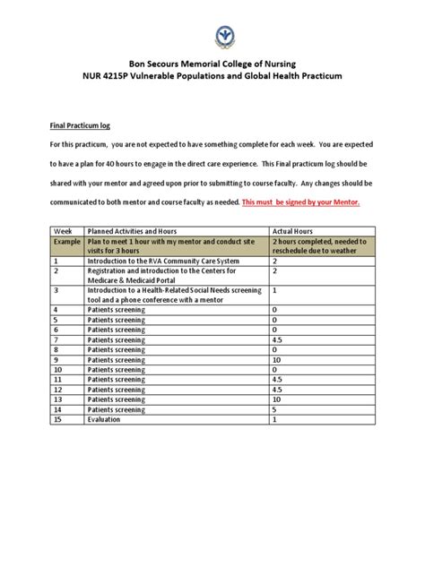 Final Practicum Log 1 Pdf