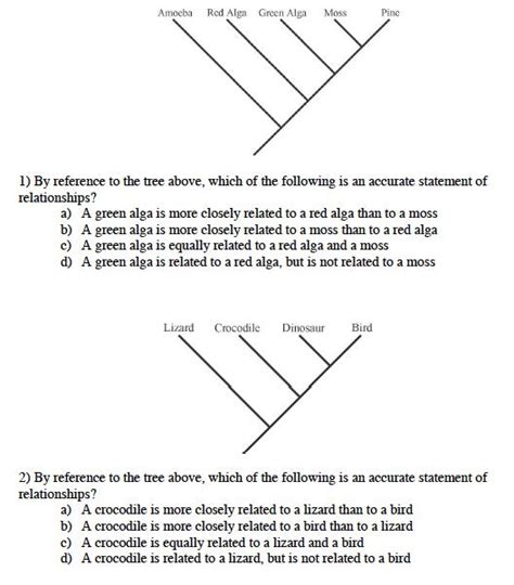 Two Phylogenetic Trees Showing The Evolutionary Relationships Between Different Organisms
