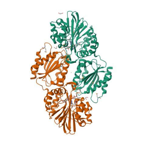 Rcsb Pdb 1vme Crystal Structure Of Flavoprotein Tm0755 From