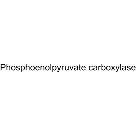 Phosphoenolpyruvate Carboxylase Medchemexpress Mce Life Science Reagents