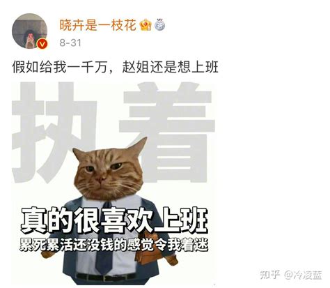 如何看待徐志胜、何广智、邱瑞、赵晓卉的春晚脱口秀？难登大雅之堂 知乎