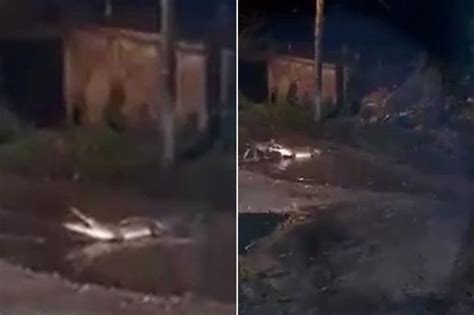 Leopard Mauled Six Villagers After Being Caught In Fishing Net During