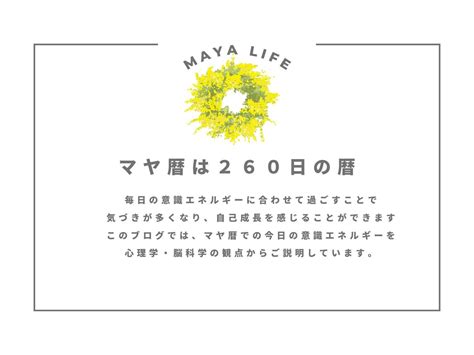 Kin255 青い鷲・黄色い星・音8｜hiroko