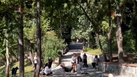 İstanbul da köpeğini tasmasız gezdiren şahıs kendisini uyaranlara saldırdı
