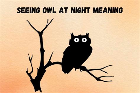 10 Spiritual Meanings Of Seeing An Owl At Night Good Luck What