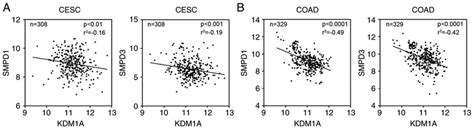 Correlation Between Gene Expression A Correlation Between Smpd1