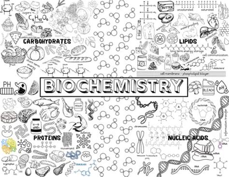 Biochemistry Coloring Unit Overview By Sketching Science Tpt