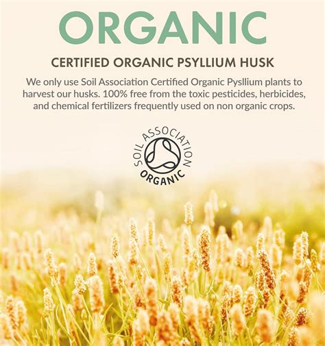 Organic Psyllium Husk Capsules 1200mg High Strength Fibre Supplement