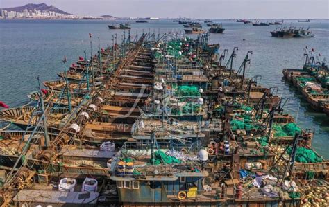 山东荣成：千艘渔船靠港“就地过年” 人民图片网