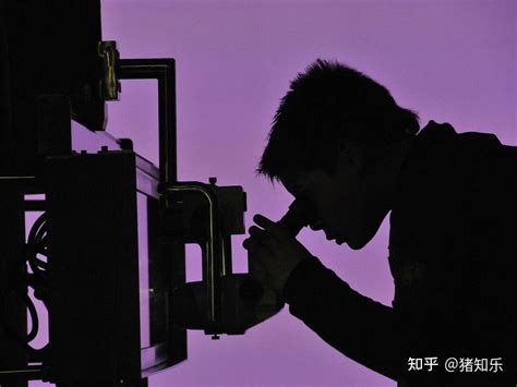 8000万养猪人惨遭淘汰！猪企失控扩张，资本主宰市场，补贴何时停？ 知乎