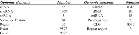Classification Of Genomic Elements Identified In The Genomic Download Scientific Diagram