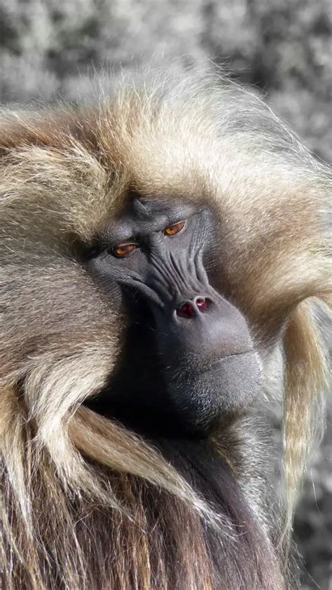 Monotrophic Diet What Are Its Benefits And Side Effects The Times Of