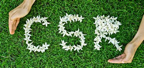 Pelatihan Program Csr Comdev Di Industri Perkebunan Pertambangan Ekstraktif Dan Migas