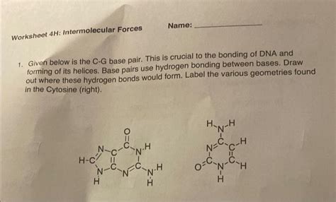 Solved 1 Given Below Is The C G Base Pair This Is Crucial