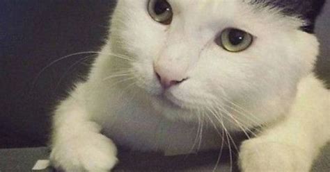 Some Smile Album On Imgur