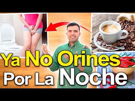 Por Que Es Importante Orinar Despues De Tener Relaciones Técnico dental