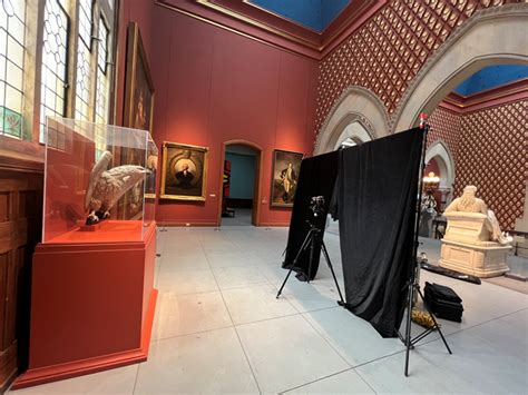 digital treasure trove unwanted reflections pafa s collections blog