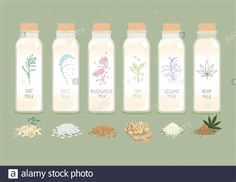 Bottles Of Plant Based Vegan Plant Milk Set Oat Rice Buckwheat Soy