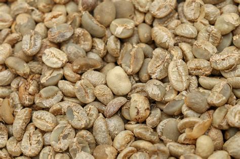 커피 아라비카 콩을 햇빛에 의해 건조하게 만드는 과정 인도네시아 발리의 커피 공장에서 커피 원두 건조의 자연적인 과정 커피 농장에서 햇볕에 말린 커피 콩 Robusta