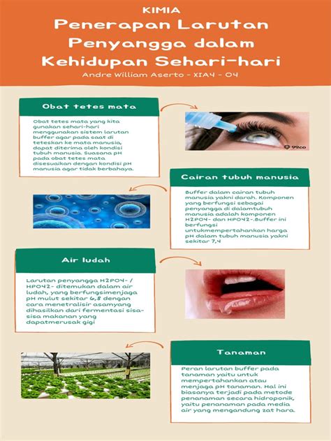 Penerapan Buffer Dalam Kehidupan Sehari Hari Pdf