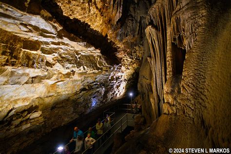 Mammoth Cave Information Mammoth Cave National Park Wondering Woods