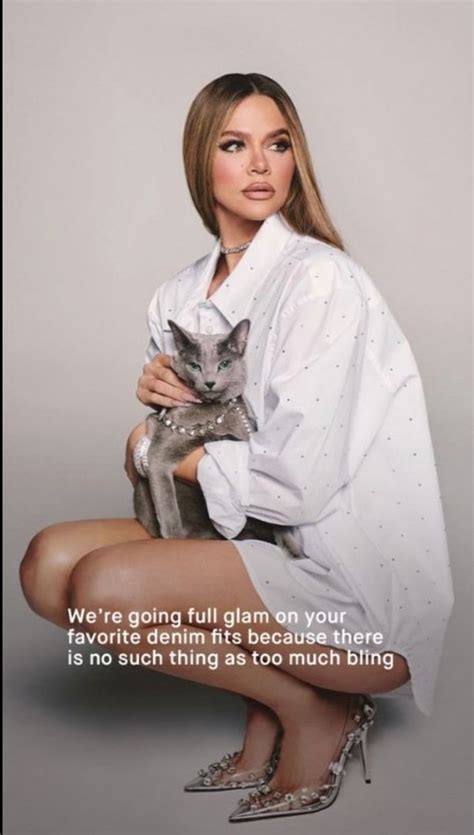 Khloe Kardashian Fans In Stitches As Her Cat Crashes Her Good American