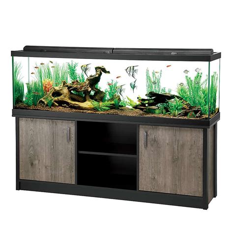 125 Gallon Aquarium Our Top 3 Choices For The Money