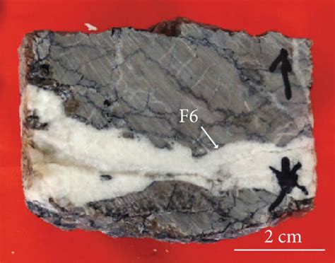 A Hand Specimen Of The Lianglitage Formation Showing F5 Fractures Download Scientific Diagram