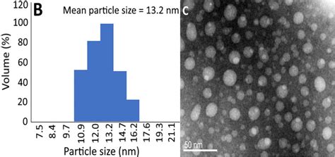 The Appearance Of Chlorophyll Nanoemulsion A And Its Particle Size