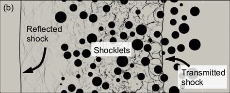 pr dns of a mas 1 66 shock interacting with a particle curtain with