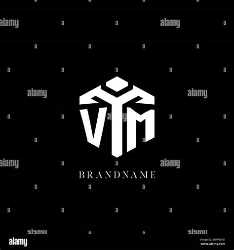 Initial Vm Logo Hexagon Shape Geometric Style Vector Graphic Stock