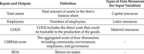 Definitions Of Inputs And Outputs Of Dea Model Download Scientific