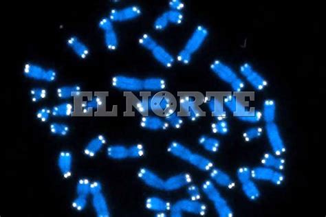 Arman Mapa Del Epigenoma Humano